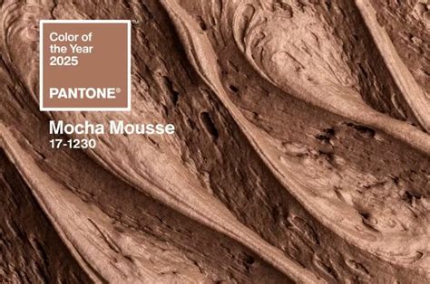 De Paolla Oliveira à Beyoncé looks Mocha Mousse para se inspirar na