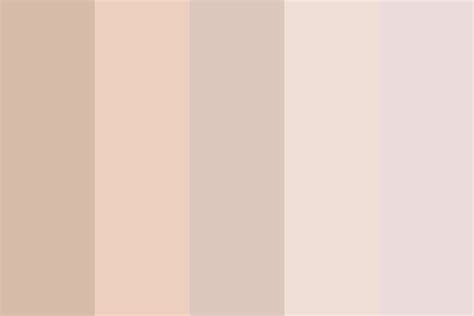 MSP Rare Skin 2 Color Palette