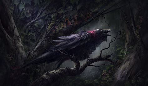 Raven Wallpaper 4k