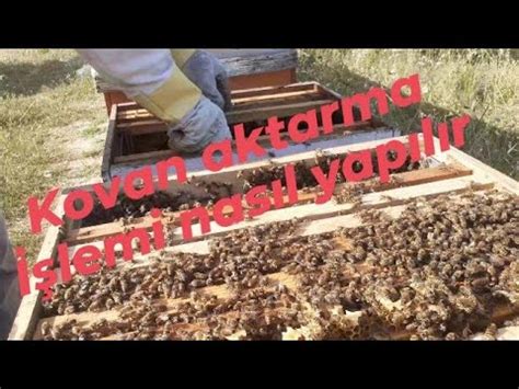 Arı kovanı aktarma işlemi ve arı kontrolü arıya kat atma işlemi nasıl