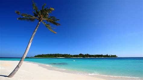 50 Beautiful Beaches Pictures And Wallpapers