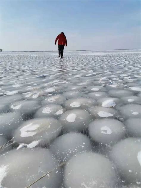 老天爷下了一锅汤圆吉林四海湖满湖都是冰汤圆如何形成的 汤圆 雪团 老天爷 新浪新闻