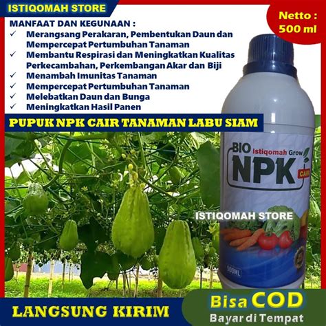 Jual Pupuk Pelebat Penyubur Buah Labu Siam Istiqomah Grow Ml Pupuk