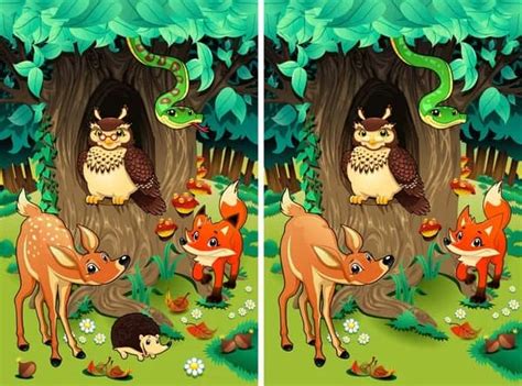 Spot The Difference Can You Spot Differences In Seconds