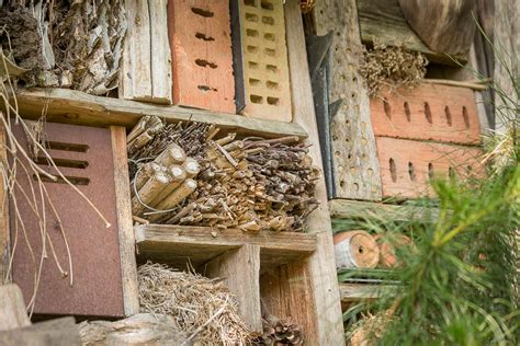 Fabriquer Une Maison A Insecte Facile Ventana Blog