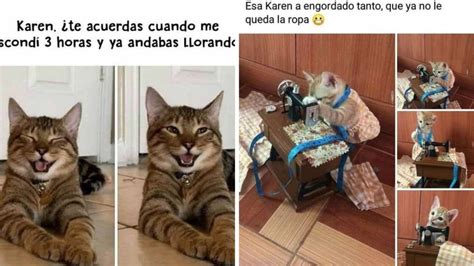 5 MEMES de Karen y el gato en español para compartir Petlife