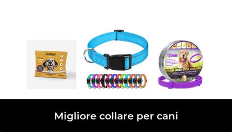 45 Migliore Collare Per Cani Nel 2022 Secondo Gli Esperti