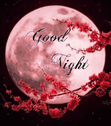 Good Night Images Hd Infoupdate Org