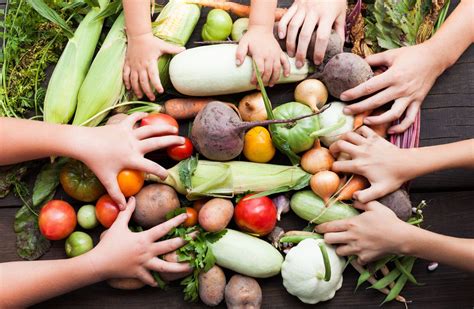 Agricultura orgânica benefícios para a saúde e o meio ambiente