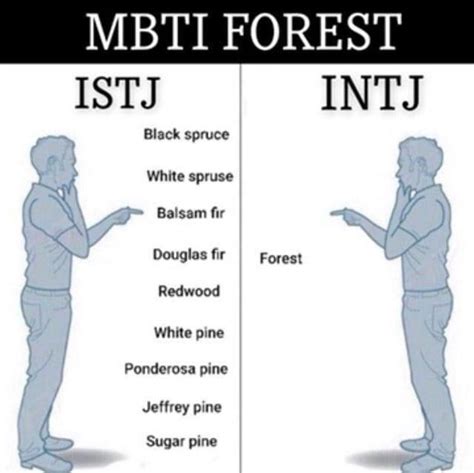 ISTJ Memes
