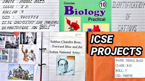 Icse Class History Explanation Image To U