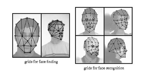 pdf face recognition by elastic bunch graph matching 1997 laurenz wiskott 2902 citations
