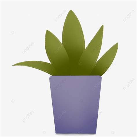 Ilustraciones De Plantas En Maceta PNG Plantas En Macetas Planta