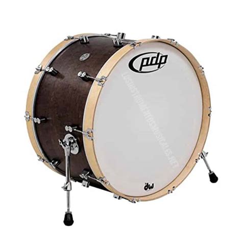 Instrumentos de Percusión MÁS de 10 Ejemplos Actualizados
