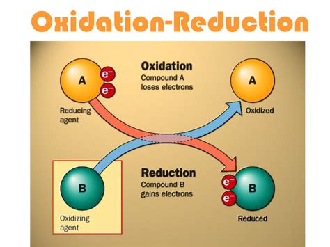 OXIDATION REDUCTION BIOCHEMISTRY