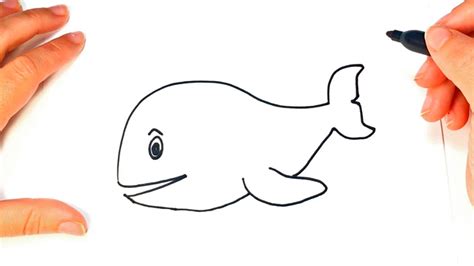 Collection Of Dibujar Una Ballena Paso A Paso How To Draw A Whale C