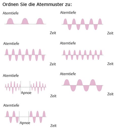 Schaubild Vitalwerte Atmung Fr B Quizlet