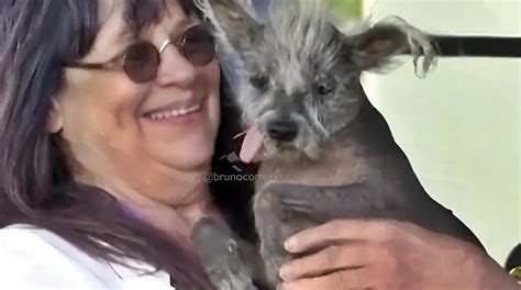 Cachorro eleito mais feio do mundo tem patas ao contrário e foi salvo
