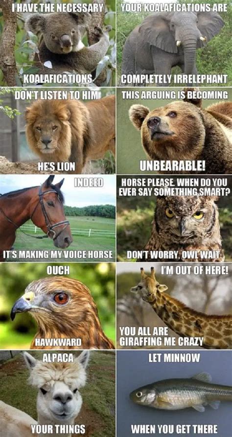 Awfully Funny Puns That Are As Good As Any Puns Will Ever Get