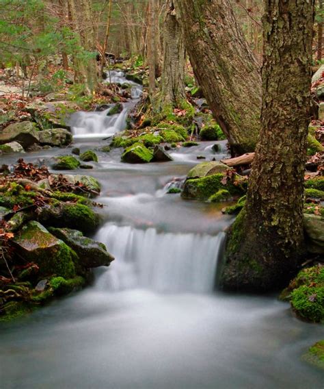 Free Images Landscape Nature Forest Rock Waterfall Creek