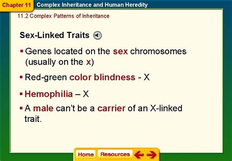 complex patterns of inheritance 11 2 state standard