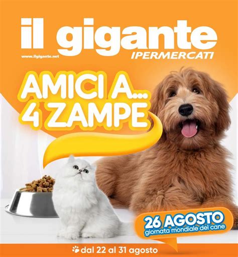 Il Gigante Volantino Attuale 22 08 31 08 2022