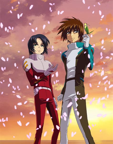 Blu Ray Seed Destiny Hd Blu Ray Box