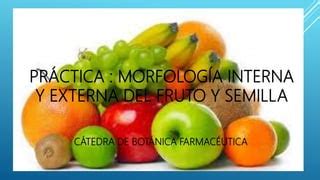 PRÁCTICA DE FRUTO Y SEMILLA pptx