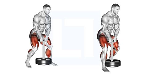 Strongman Duck Walk Guide Benefits And Form