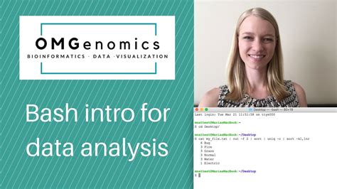 introduction to bash for data analysis youtube