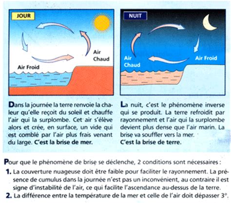 Groupe 35 Année 2013 2014 Comment le vent se forme t il