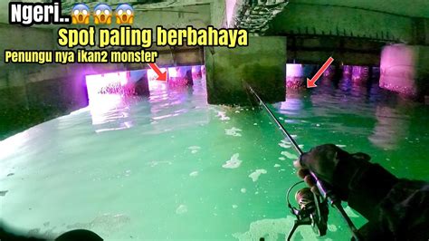 Ganas Nya Ikan Kakap Putih Yang Tak Pernah Di Pancing YouTube