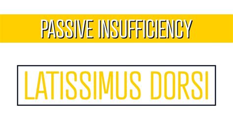 Passive Insufficiency For The Latissimus Dorsi YouTube