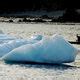 Iceberg Alley Newfoundland And Labrador Atlas Obscura