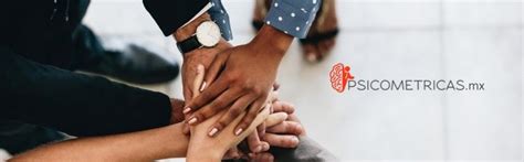 Las 5 Etapas Del Desarrollo Del Equipo