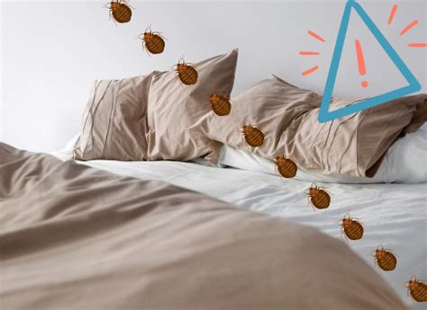 Unveiling The Unseen Recognizing The Signs Of Bed Bugs On Sheets
