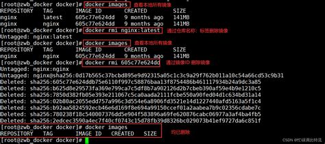 docker镜像及容器基本操作命令 docker启动镜像容器命令 csdn博客