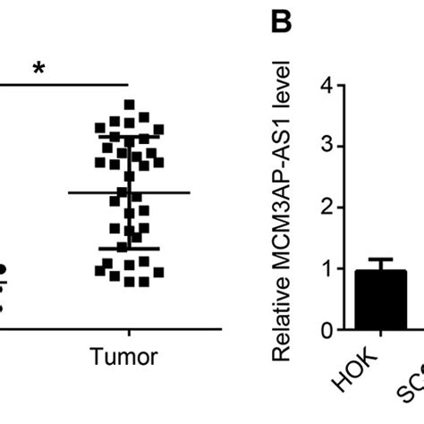 Expression Of Mcm Ap As Is Upregulated In Oscc Tissues And Cells A