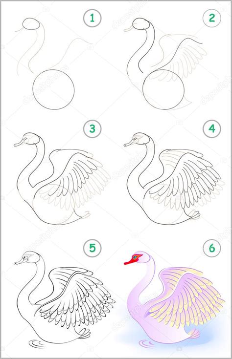 La página muestra cómo aprender paso a paso para dibujar un lindo cisne
