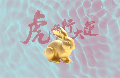 A nous 2023 année chinoise du Lapin d Eau Fengshui Positif