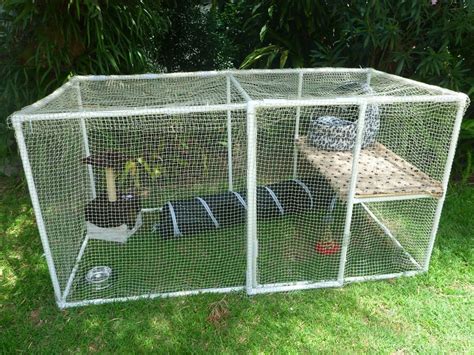 Cara Membuat Kandang Kucing Sendiri Bisa Dari Pipa Kayu Atau 2023