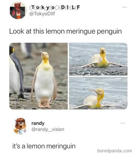 77 Times Punsworld” Shared Hilarious Relatable Memes On Instagram