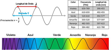 Biofísica del Homo Sapiens La Luz y El Espectro Electromagnético