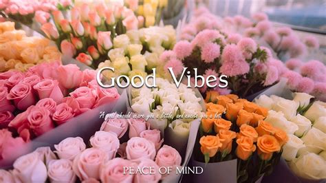 Good Vibes 힘든 시기에 마음의 평화를 위해 마음을 진정시키는 피아노 음악 PEACE OF MIND YouTube