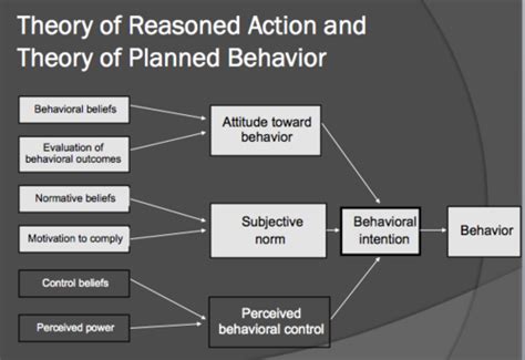 How Do Behavior Analysts Explain Individual Differences In Behavior