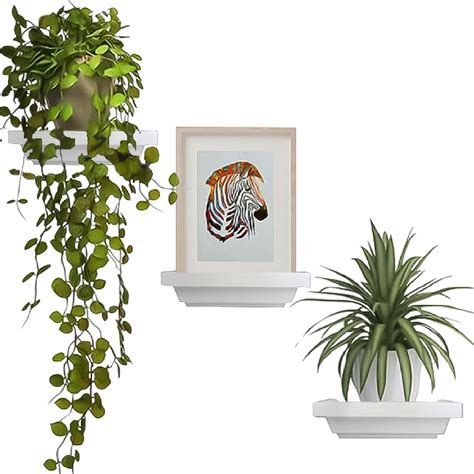 20 Best Shelves For Plants Wild Plantage The Houseplants