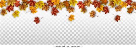 Vector Fall Leaf Border