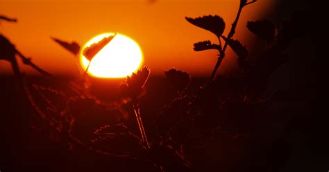 3 Consejos Para Protegerse Del Sol