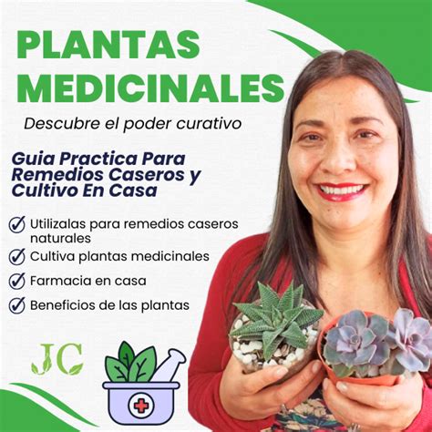 Descubre Los BENEFICIOS De Las PLANTAS MEDICINALES