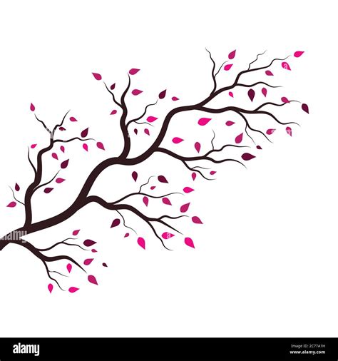Tree Branch Vector Illustration Design Template Stock Vector Image